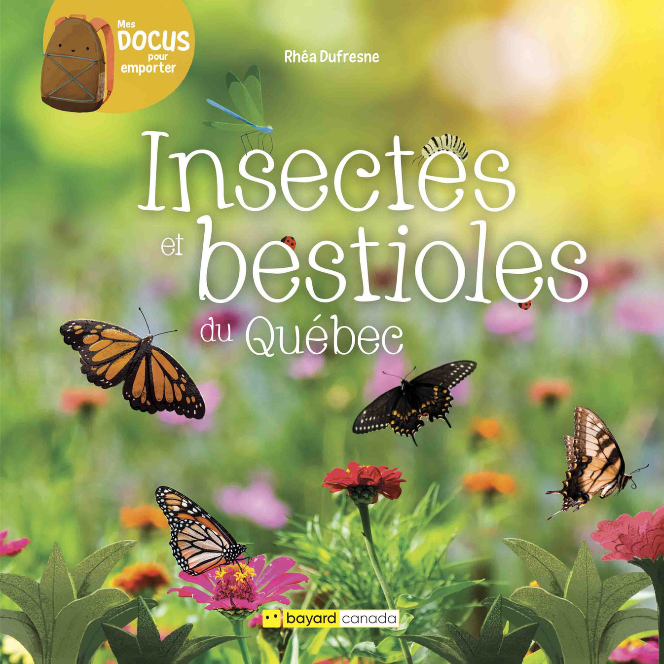 Insectes et bestioles du Québec – Bayard jeunesse